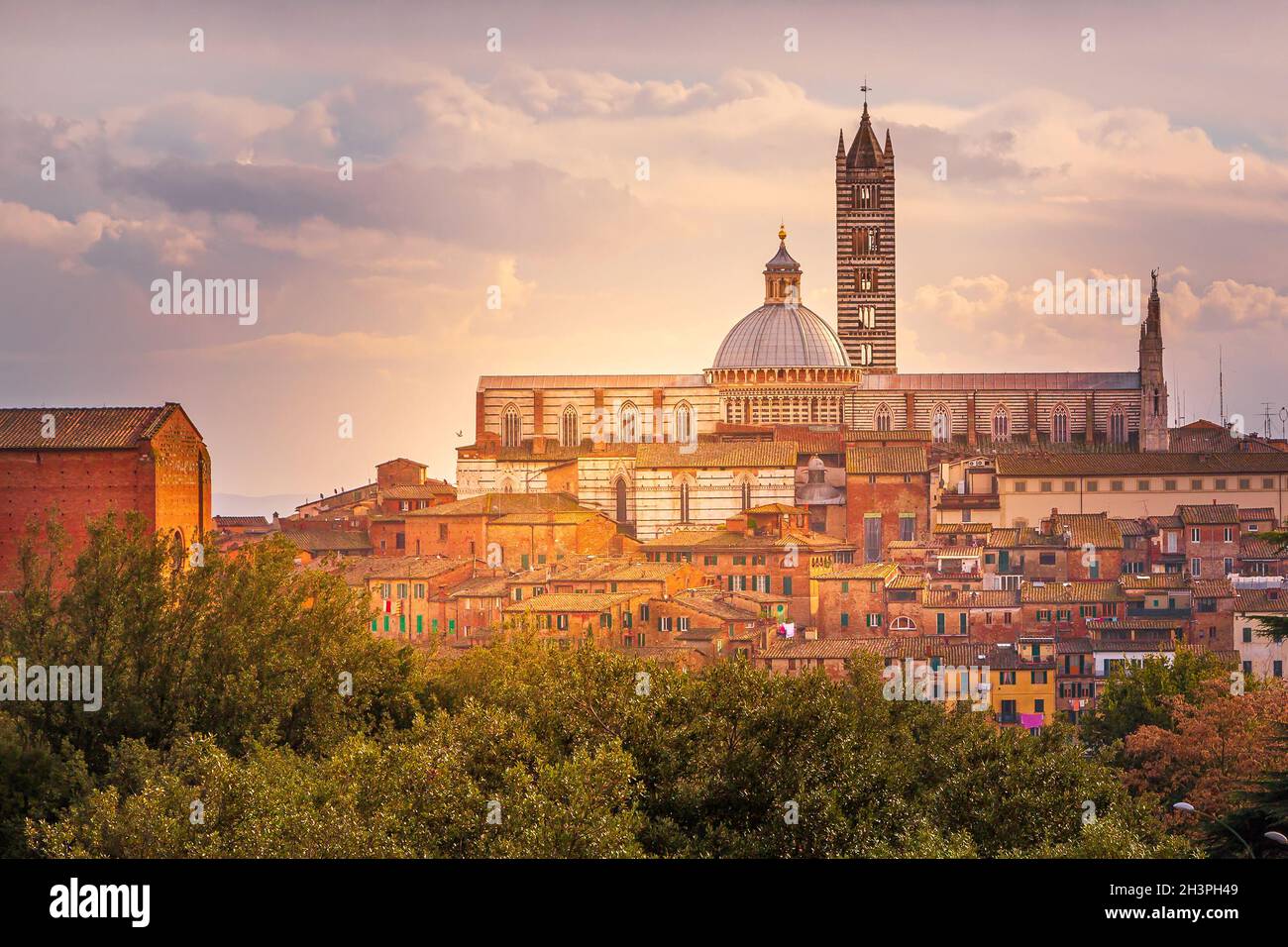 View to siena cathedral hi-res stock photography and images - Alamy