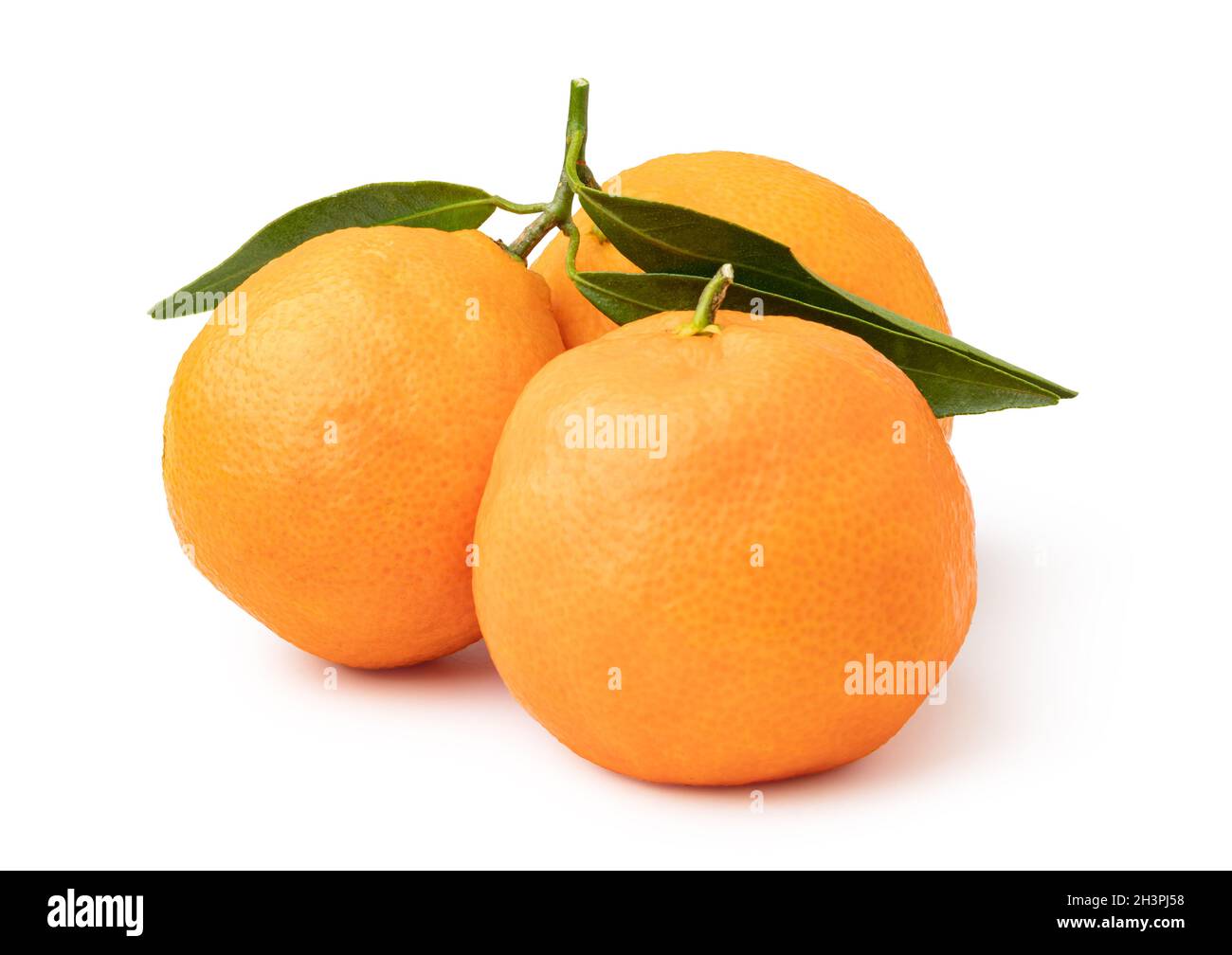 Tangerines mandarines on white hi-res stock photography and images - Alamy