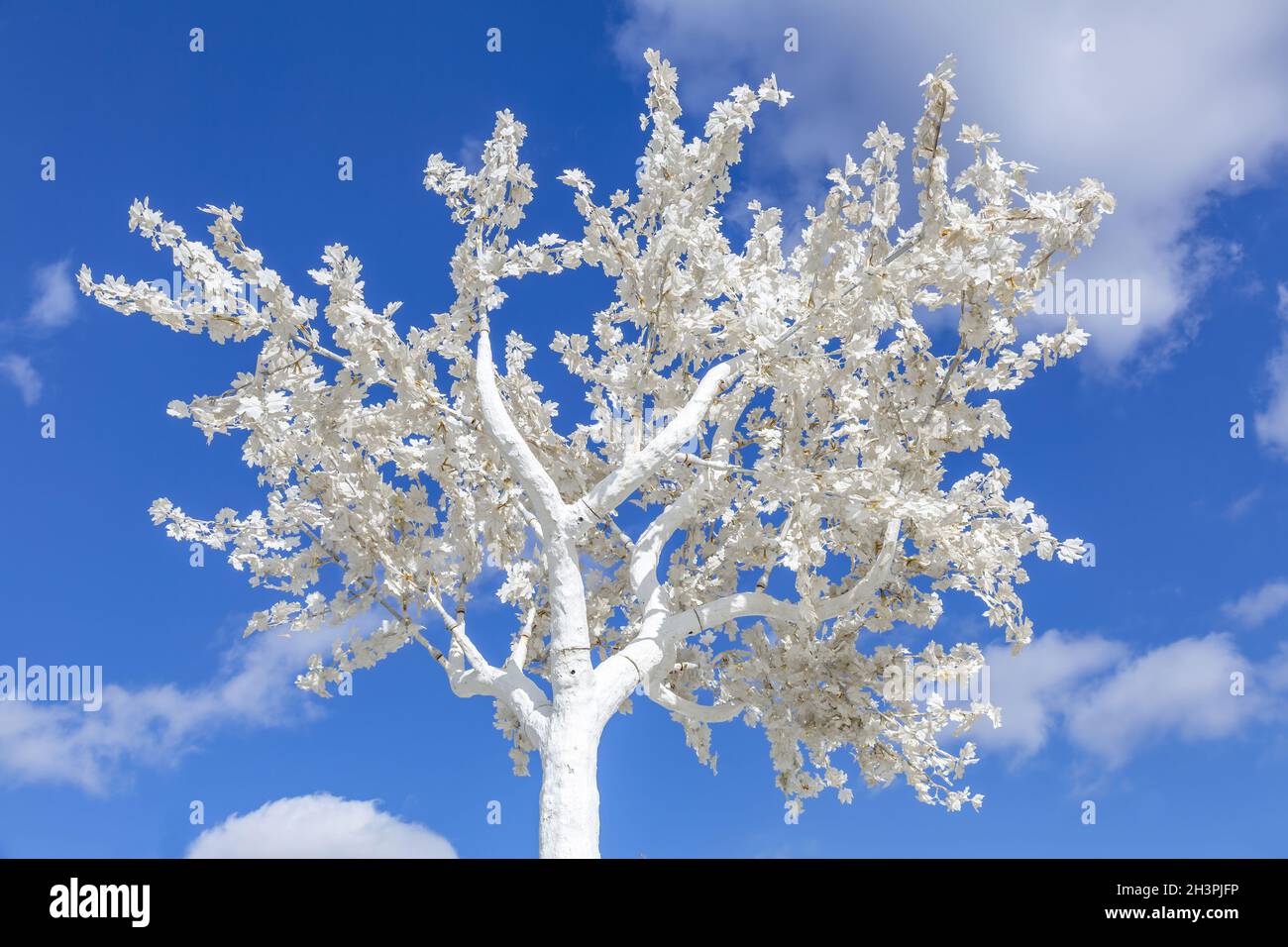 Decorative white tree against a bright blue sky Stock Photo - Alamy