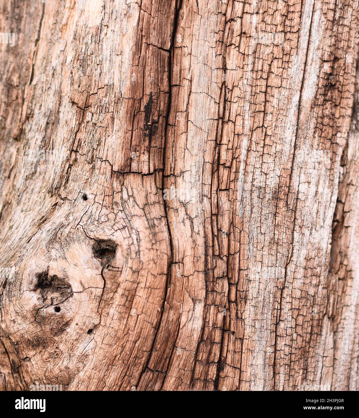 Weathered wood texture hi-res stock photography and images - Alamy
