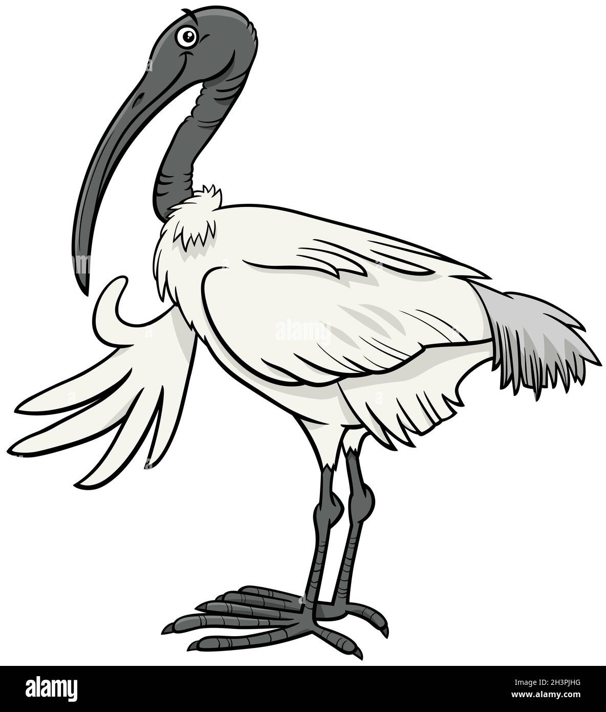 Cartoon ibis bird comic animal character Stock Photo - Alamy
