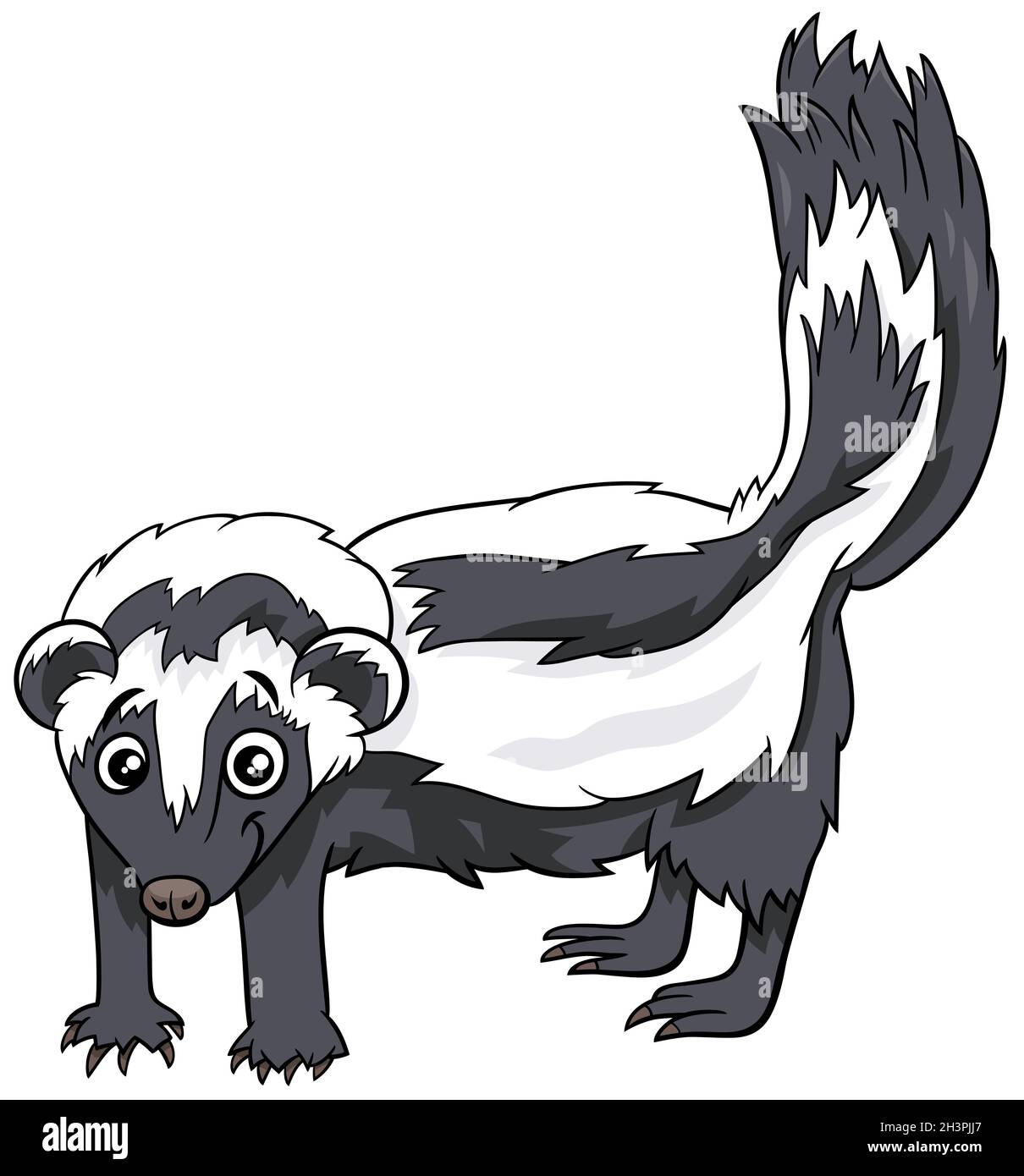 Zorilla hi-res stock photography and images - Alamy