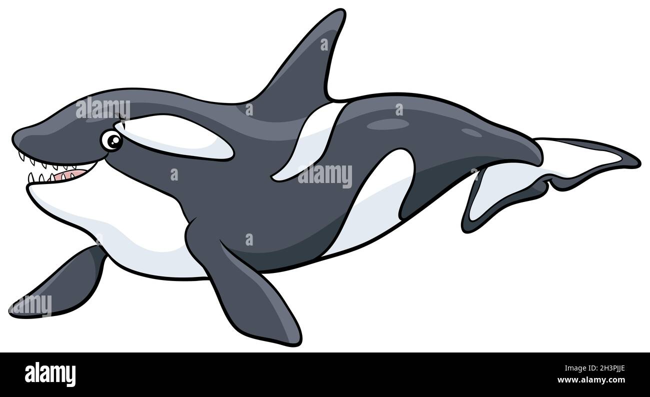 Cartoon orca or killer whale sea animal character Stock Photo - Alamy