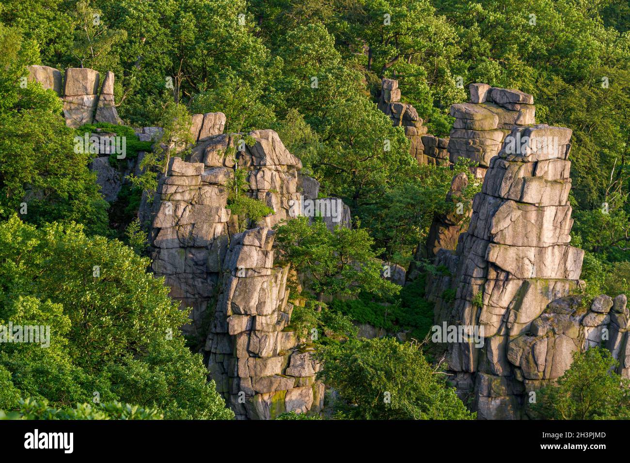 Erlebnis harz hi-res stock photography and images - Alamy