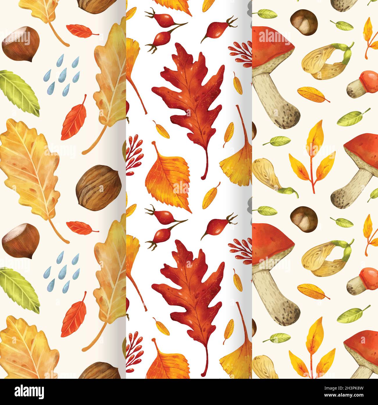 watercolor autumn pattern collection vector design illustration Stock ...