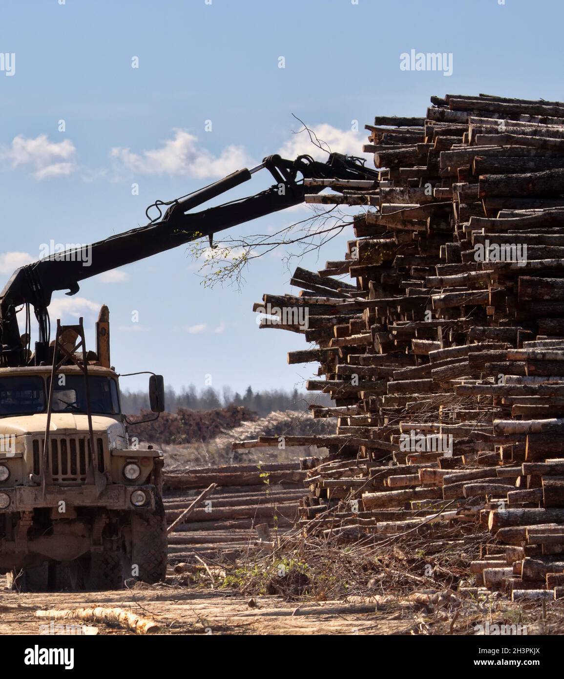 Operations for loading a logging truck Stock Photo - Alamy