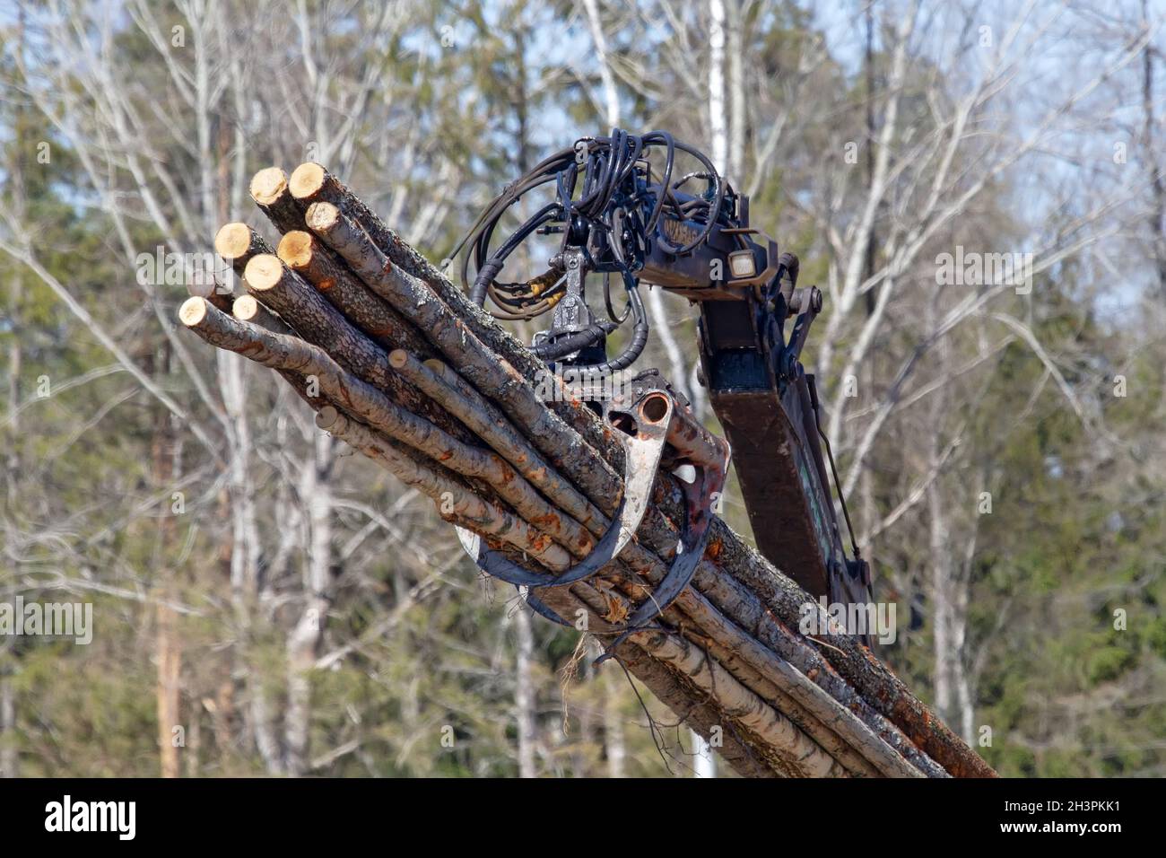 Loader logger logging logging hi-res stock photography and images - Alamy