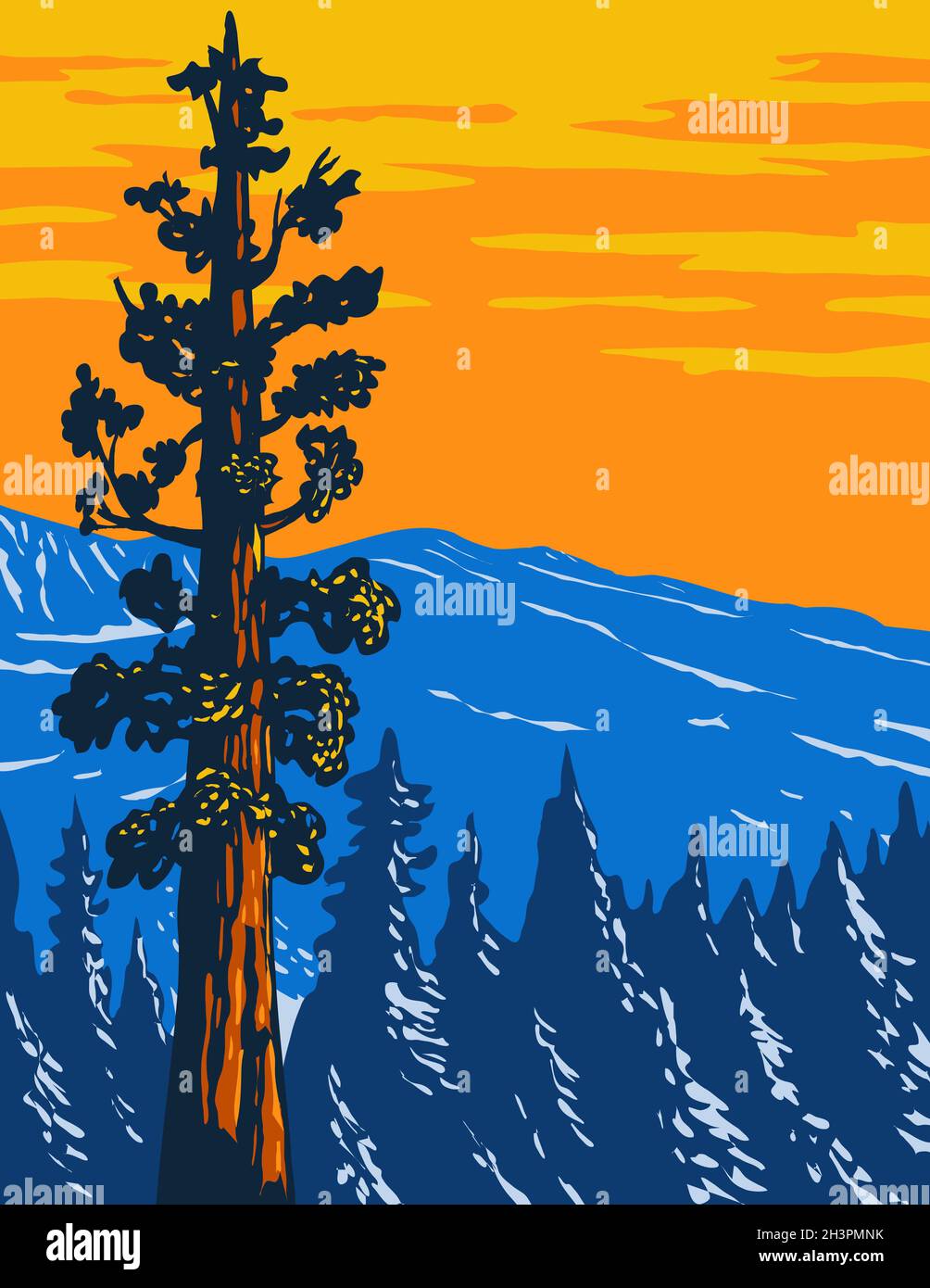 The Boole Tree Giant Sequoia in Converse Basin Grove of Giant Sequoia ...