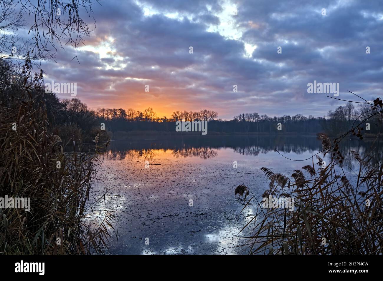 Leipziger forest hi-res stock photography and images - Alamy