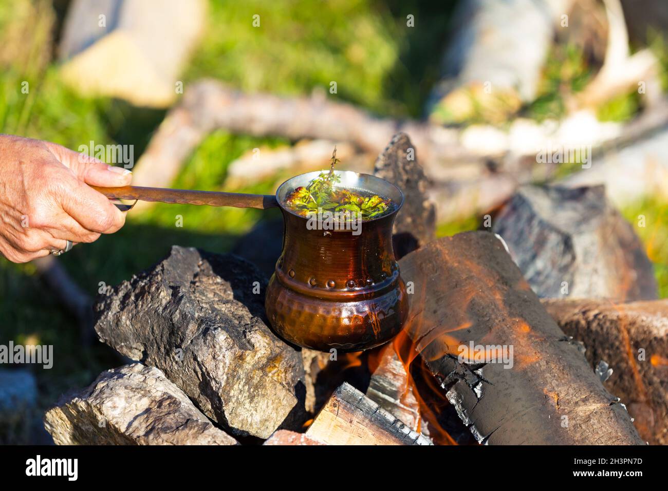 Campfire plant hi-res stock photography and images - Alamy