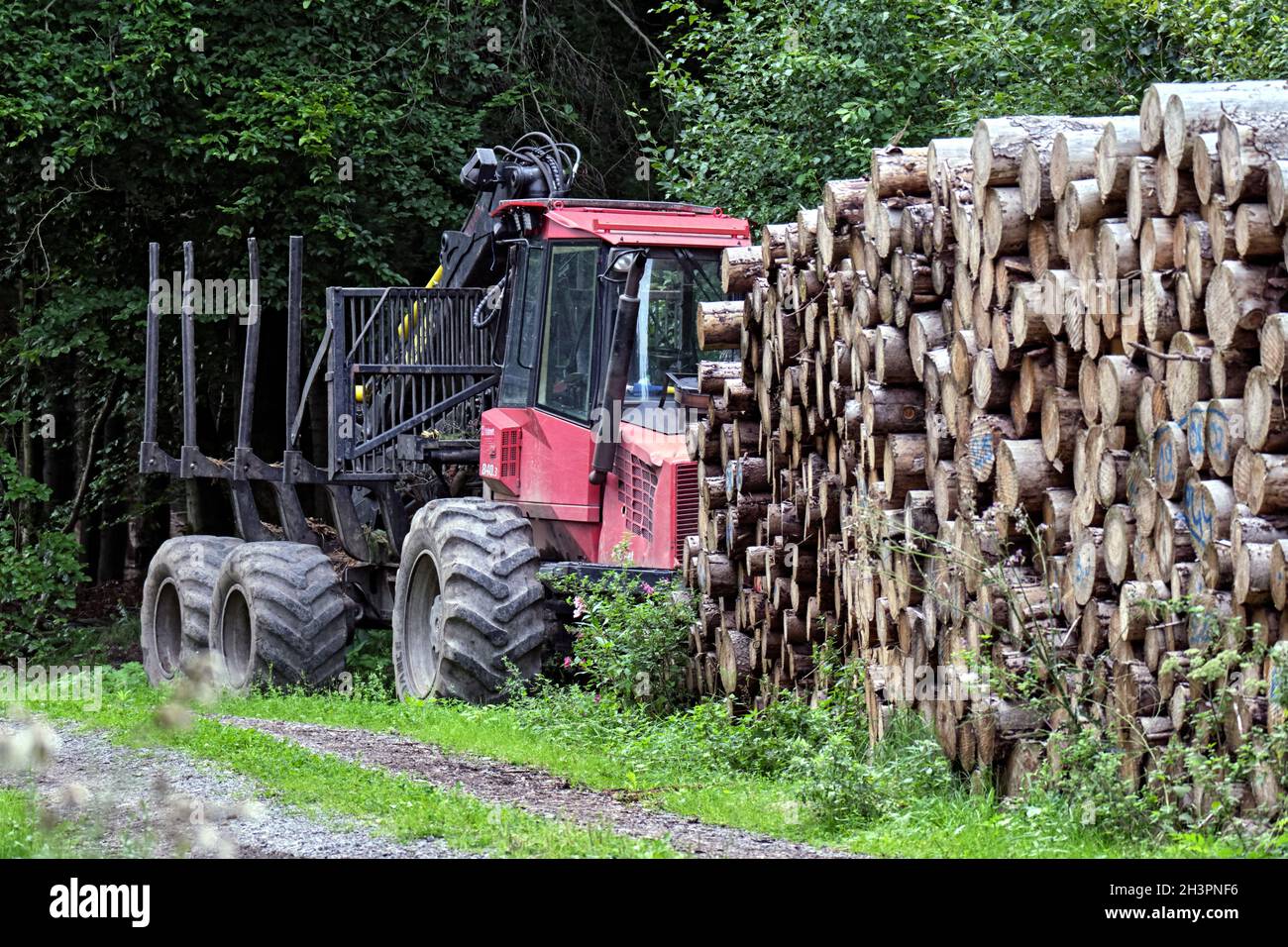 Logging work hi-res stock photography and images - Alamy
