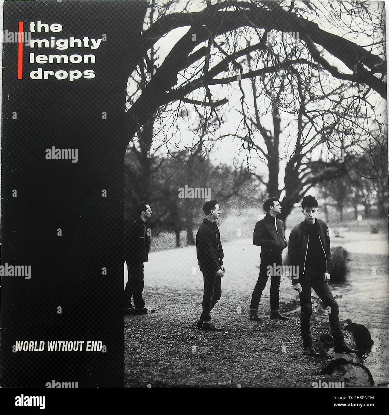 The Mighty Lemon Drops 1988 World Without End Lp Record Album Original ...