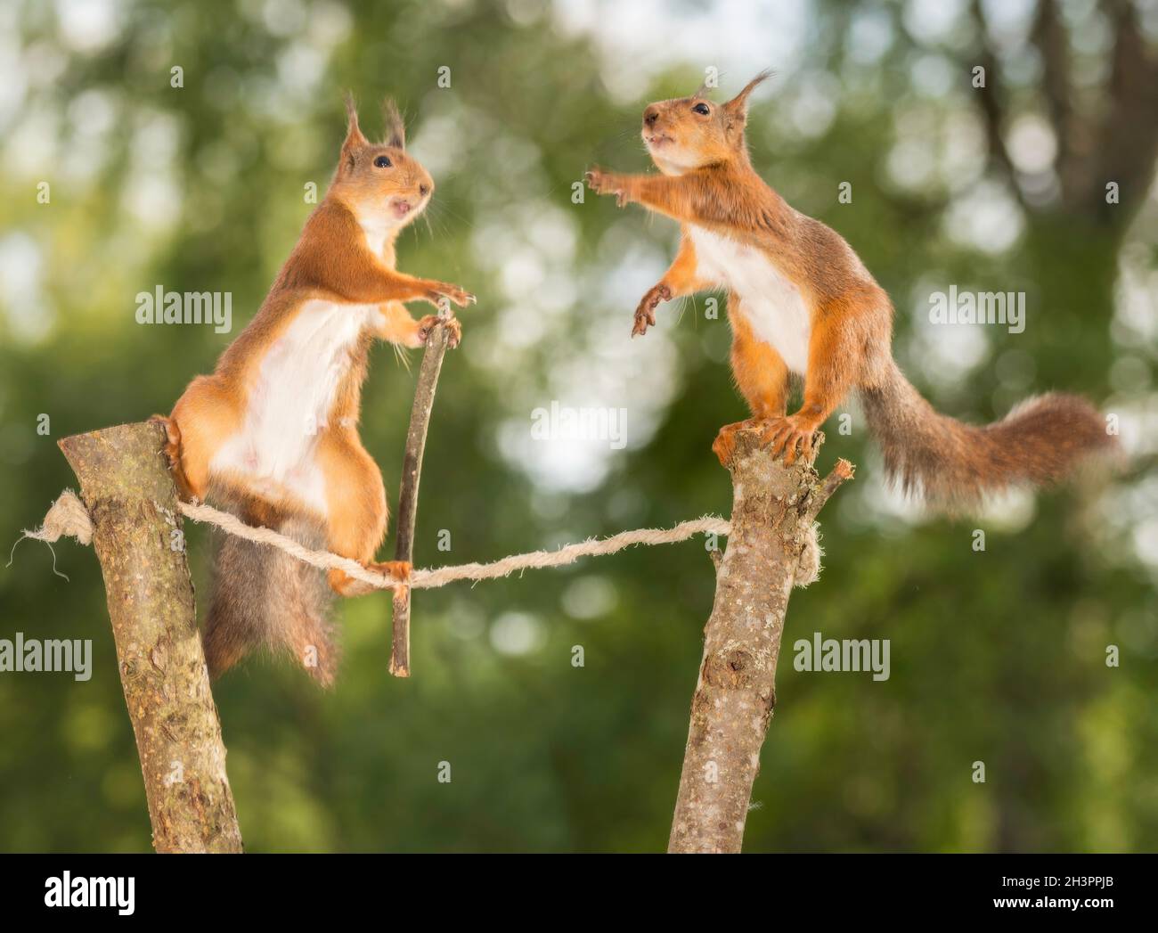 Slack rope hi-res stock photography and images - Alamy