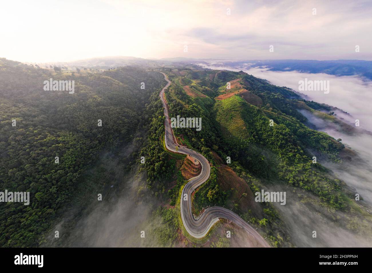 Aerial of jungle hi-res stock photography and images - Alamy