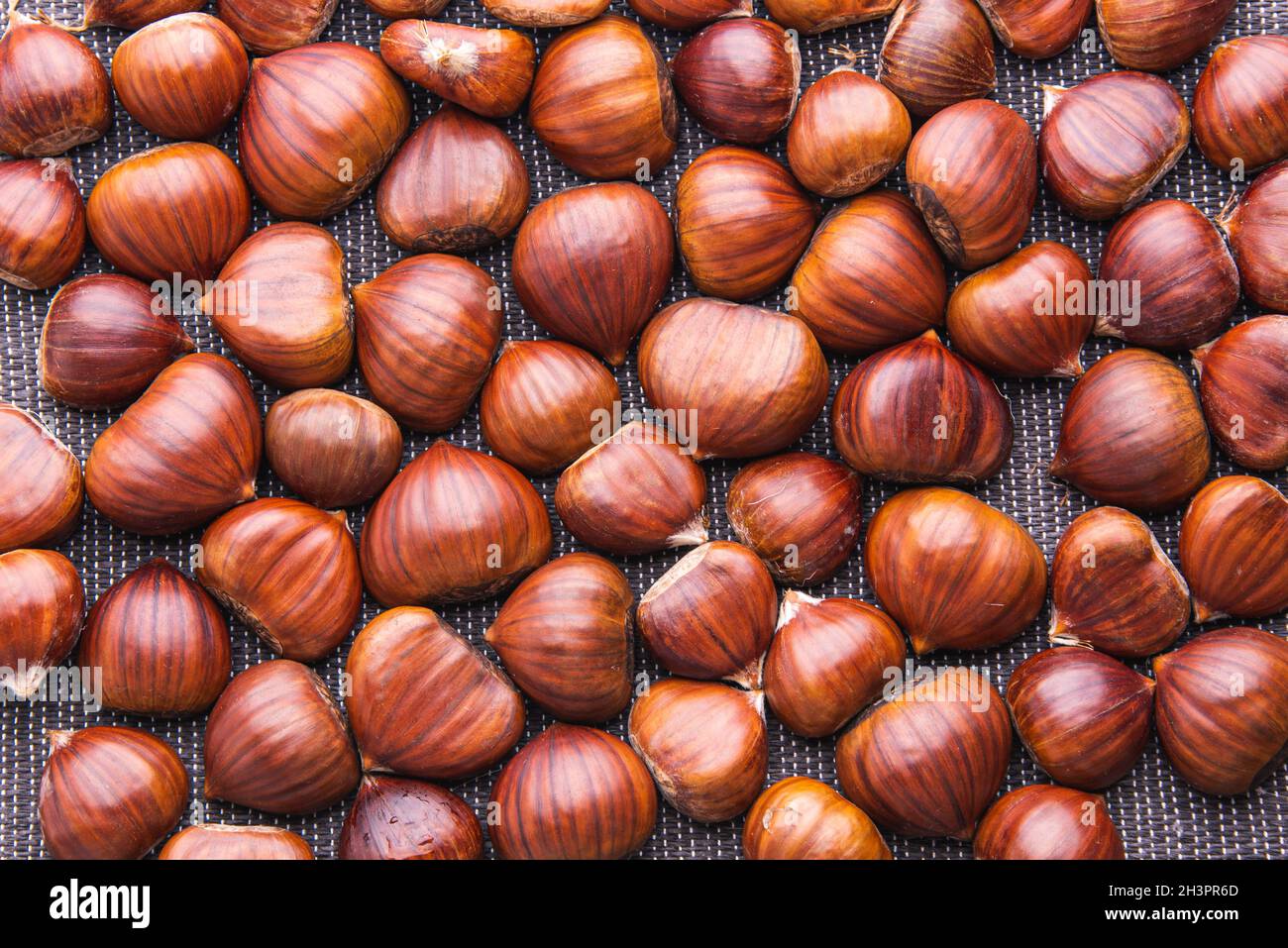 Ripe chestnuts close up. Raw Chestnuts for Christmas. Fresh sweet ...