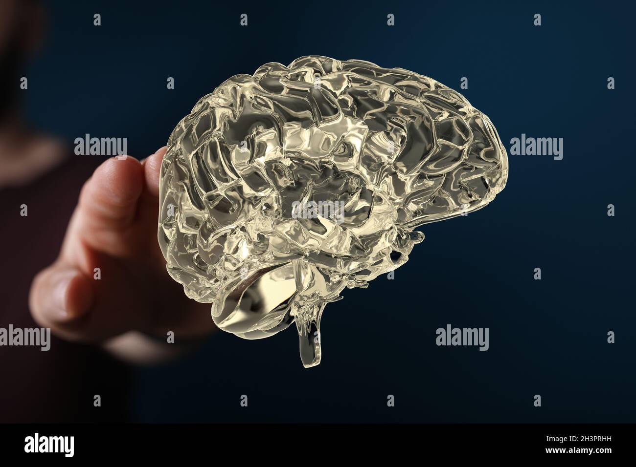 3D rendering of a man pointing at a human brain anatomical model Stock ...