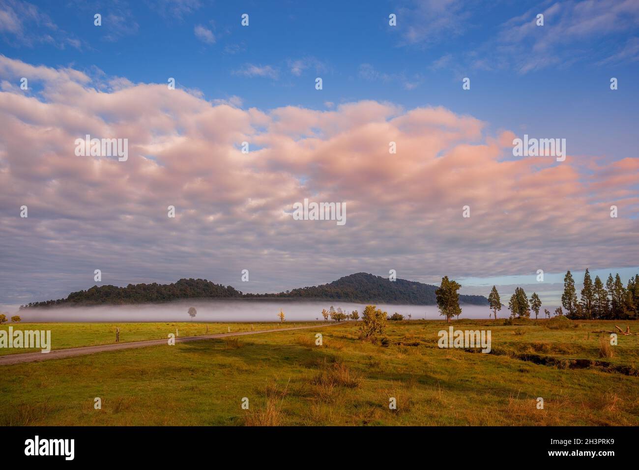 Early new zealand hi-res stock photography and images - Alamy