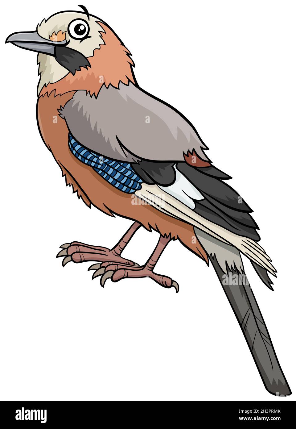 Cartoon jay bird comic animal character Stock Photo - Alamy