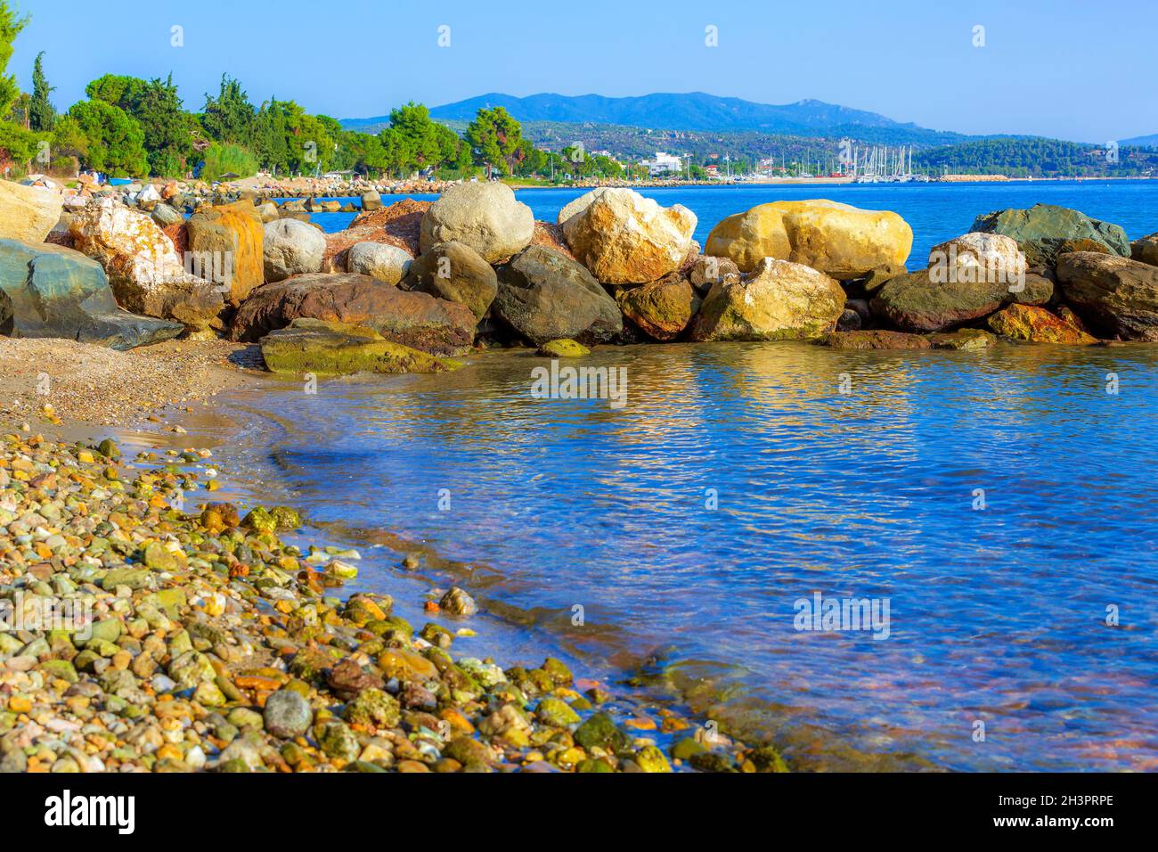 Greek pine tree hi-res stock photography and images - Alamy