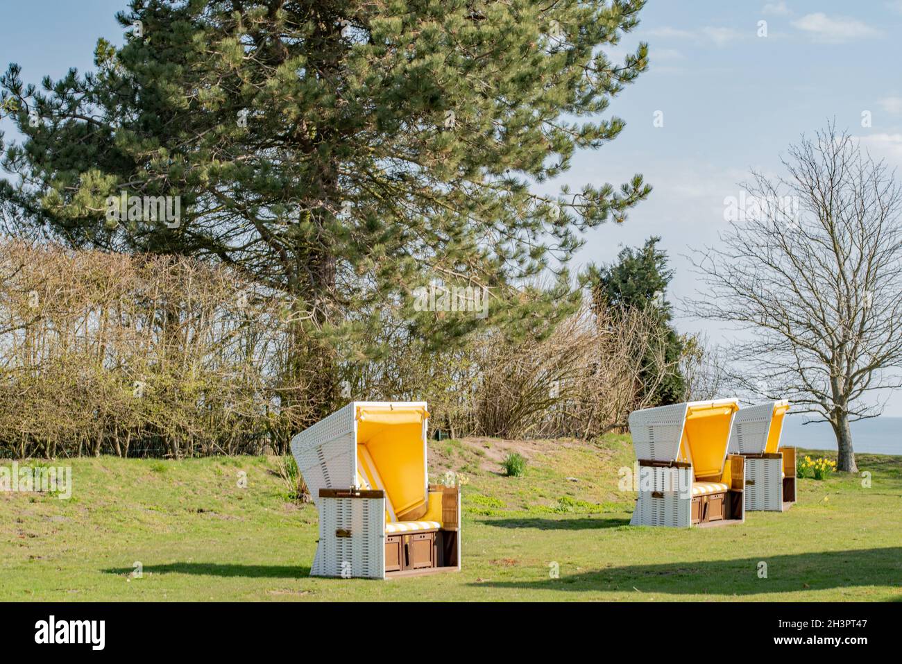 Shrub spot hi-res stock photography and images - Alamy