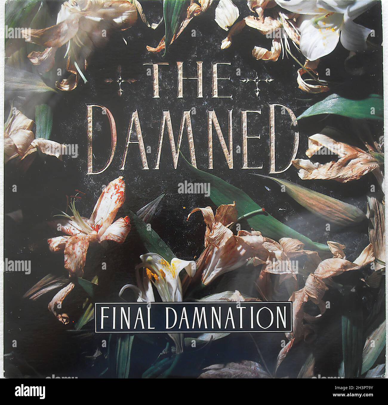 Recording their final album hi-res stock photography and images - Alamy