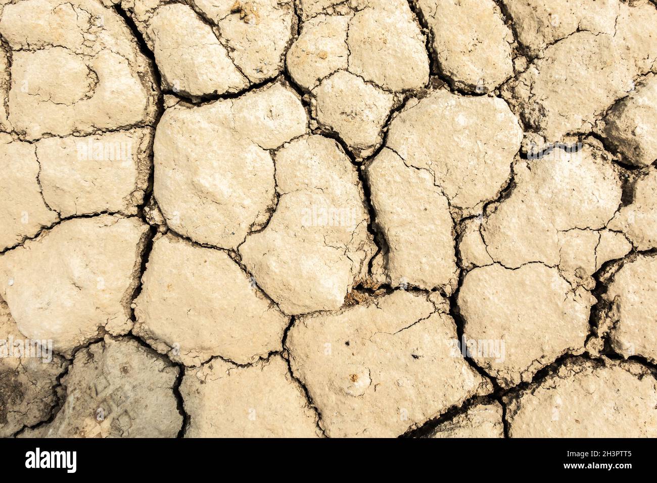 Dried crack land Stock Photo - Alamy