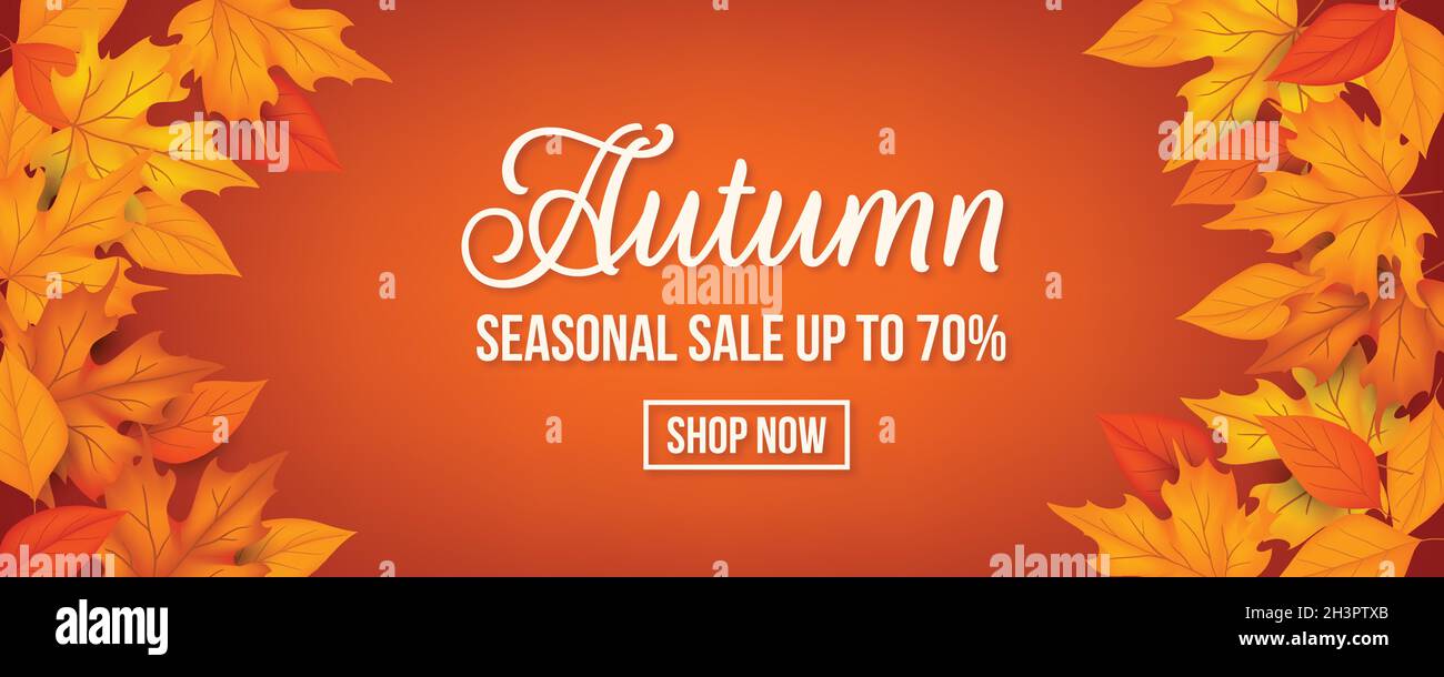 realistic horizontal autumn banner template vector design illustration ...