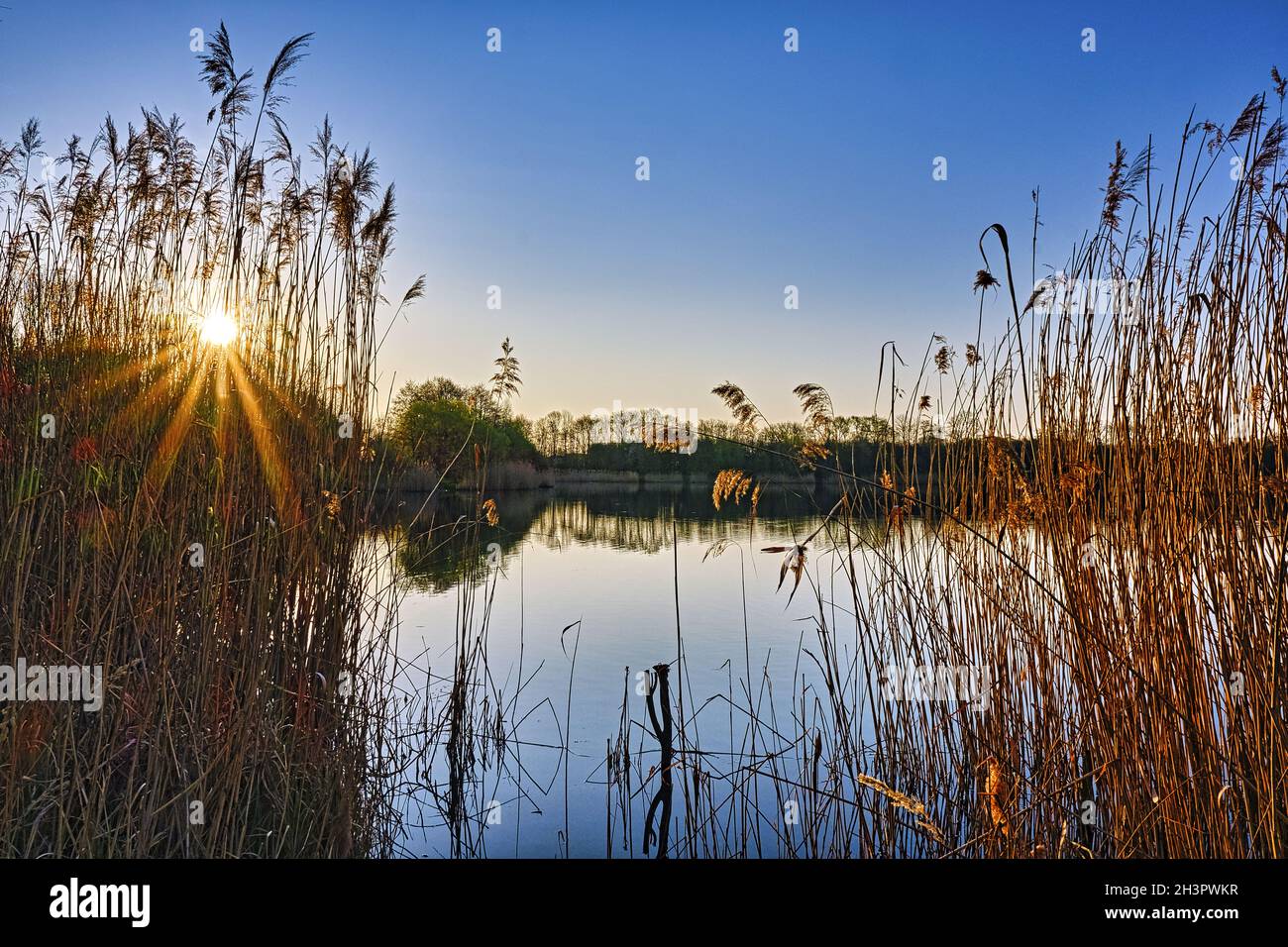 Sunrise at the forest lake Stock Photo - Alamy