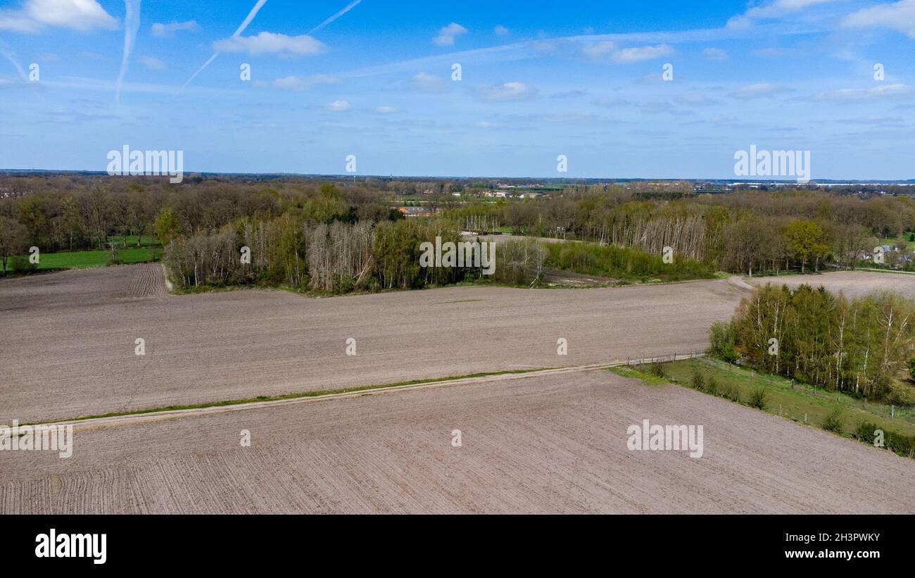 Aerial view with a drone of a spring wavy agricultural countryside ...