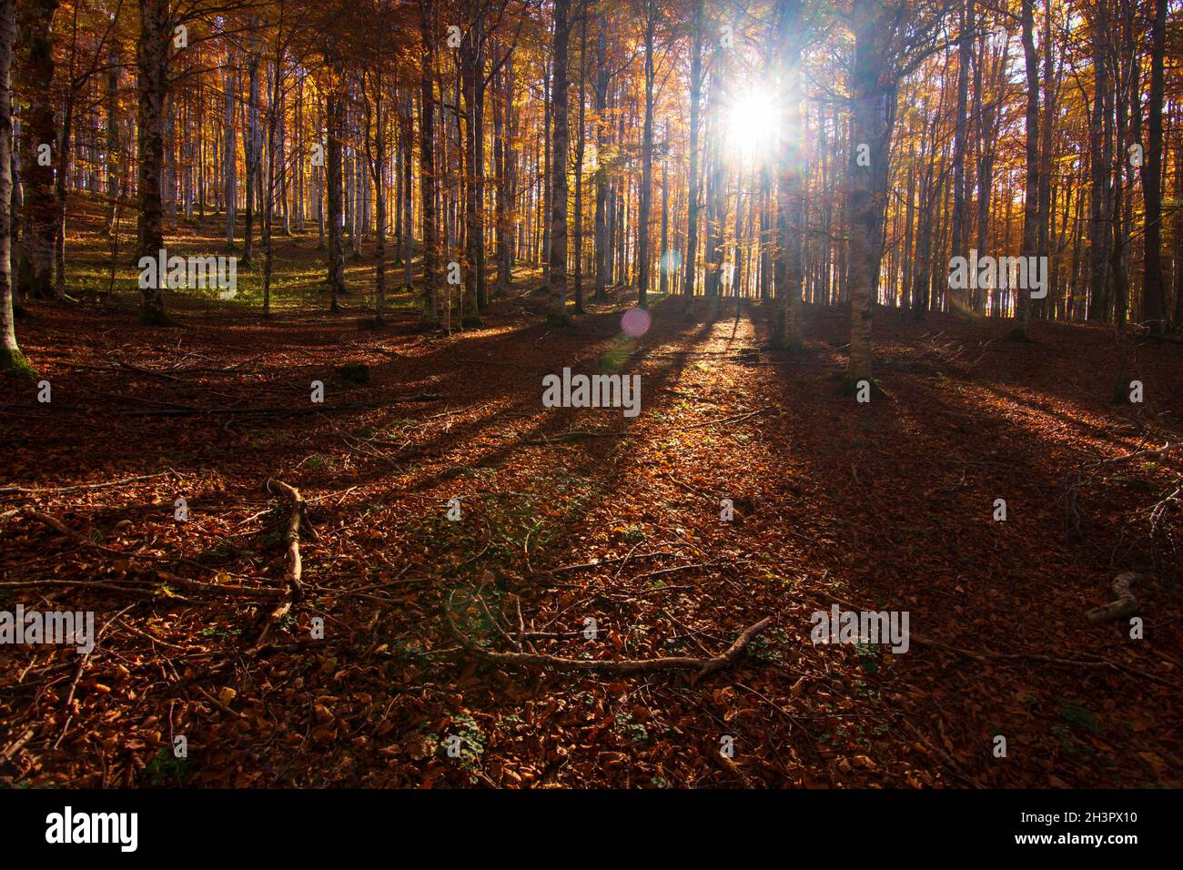 Himalayas sunrise behind hi-res stock photography and images - Alamy
