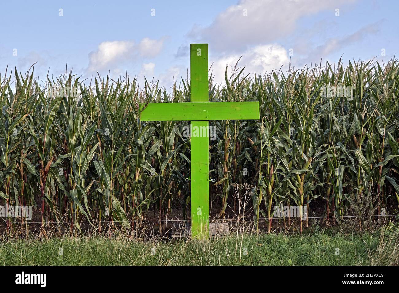 Action Green Crosses Stock Photo - Alamy