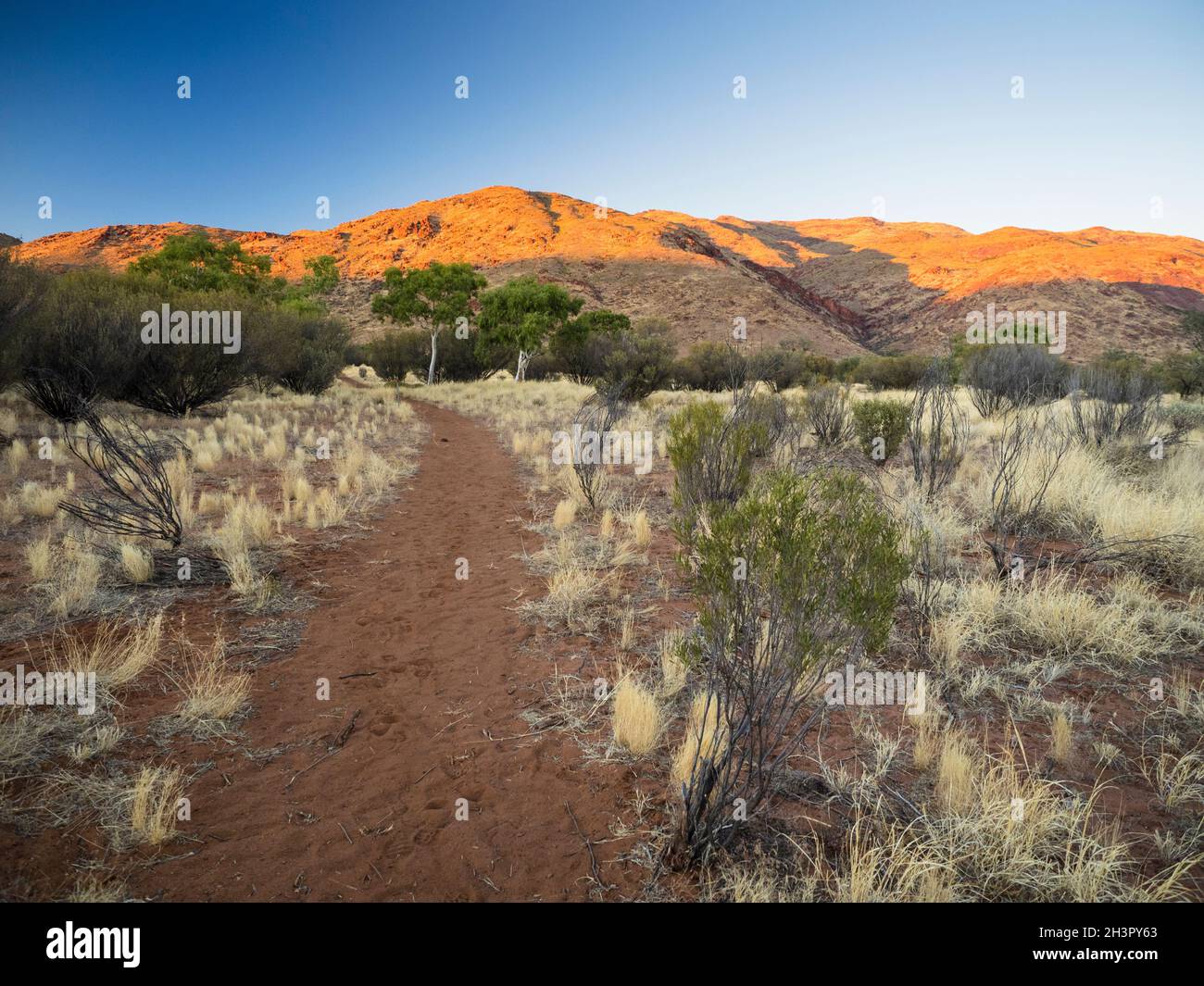 Mt zeil hi-res stock photography and images - Alamy