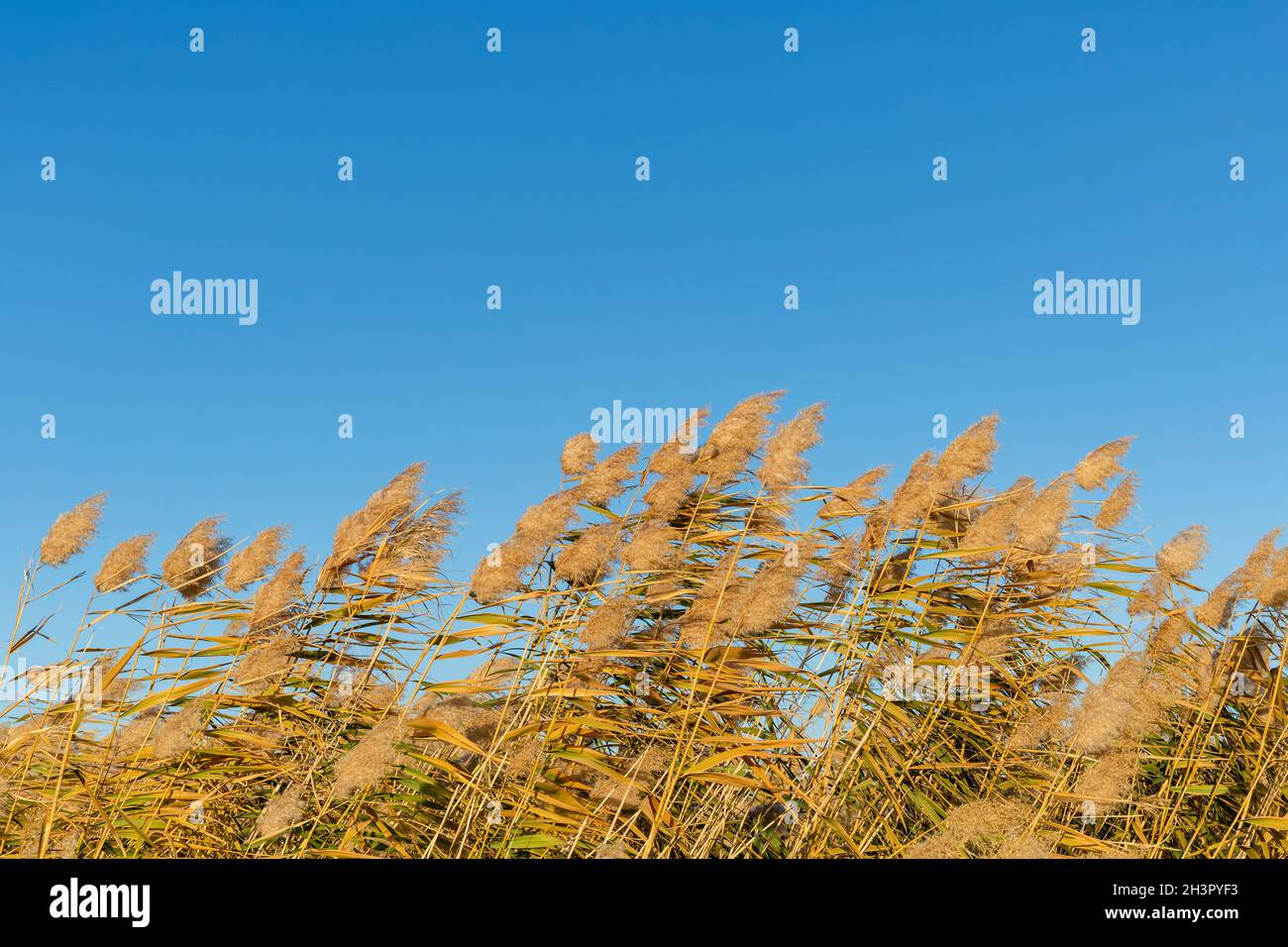 Sky yellow blue hi-res stock photography and images - Alamy