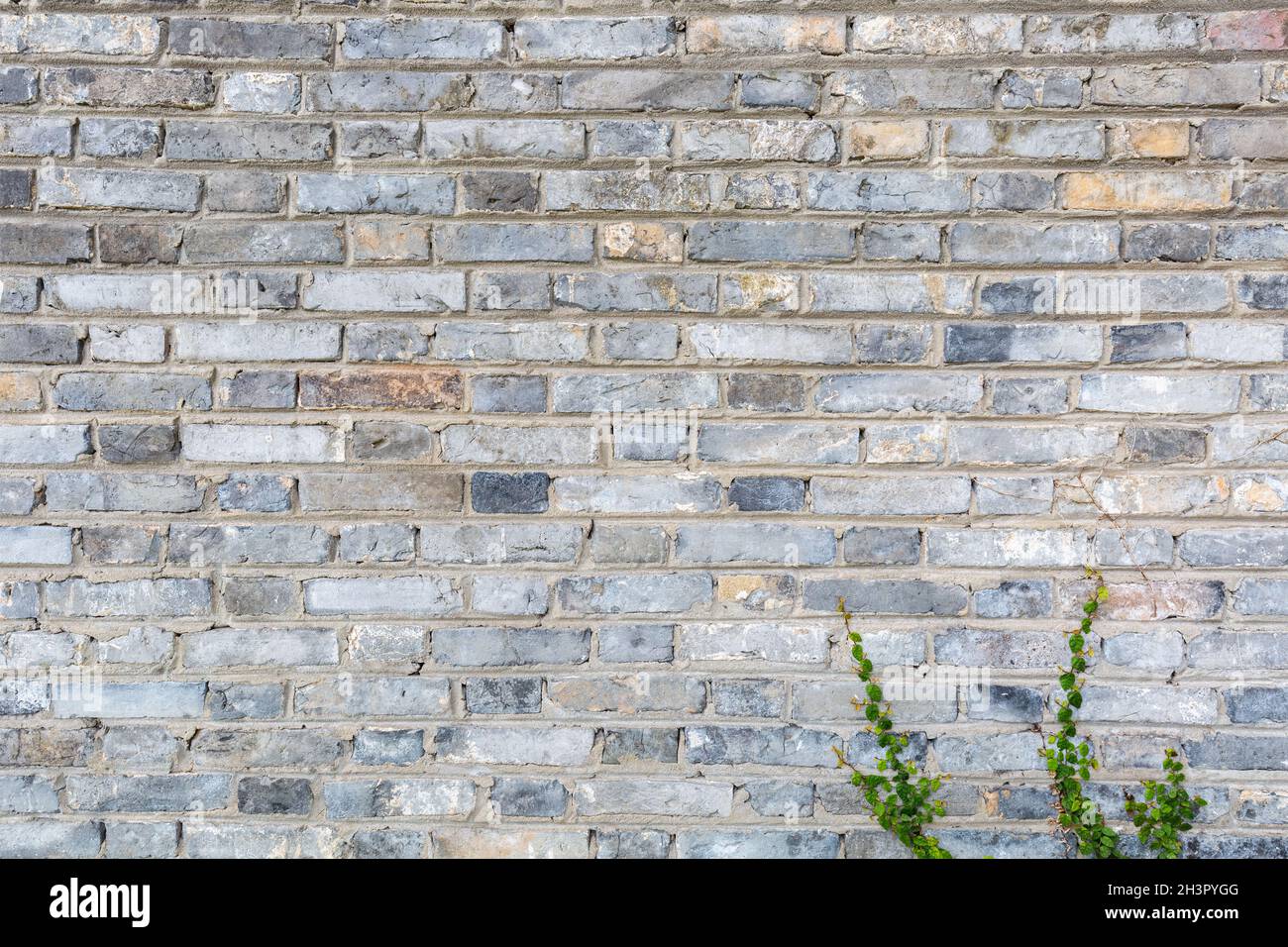 Gray brick wall background Stock Photo - Alamy