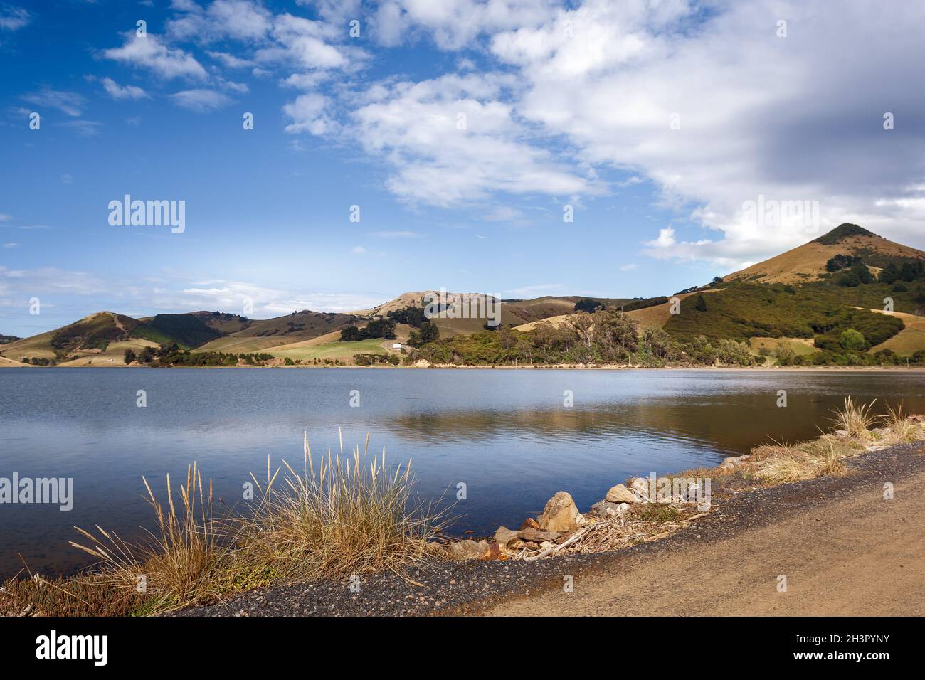 Dunedin new zealand otago peninsula hi-res stock photography and images ...