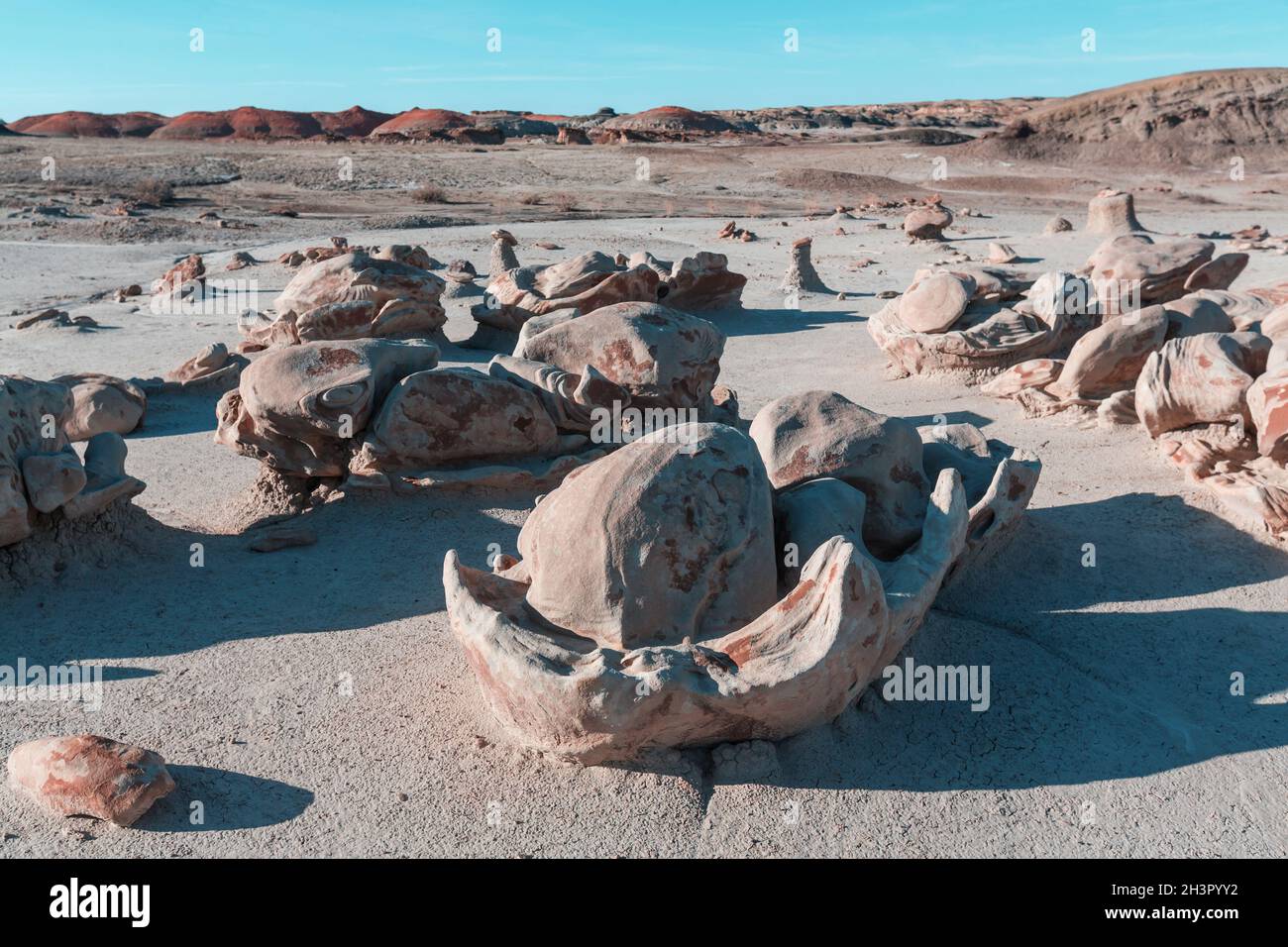 Bisti badlands wildnis de na zin hi-res stock photography and images ...