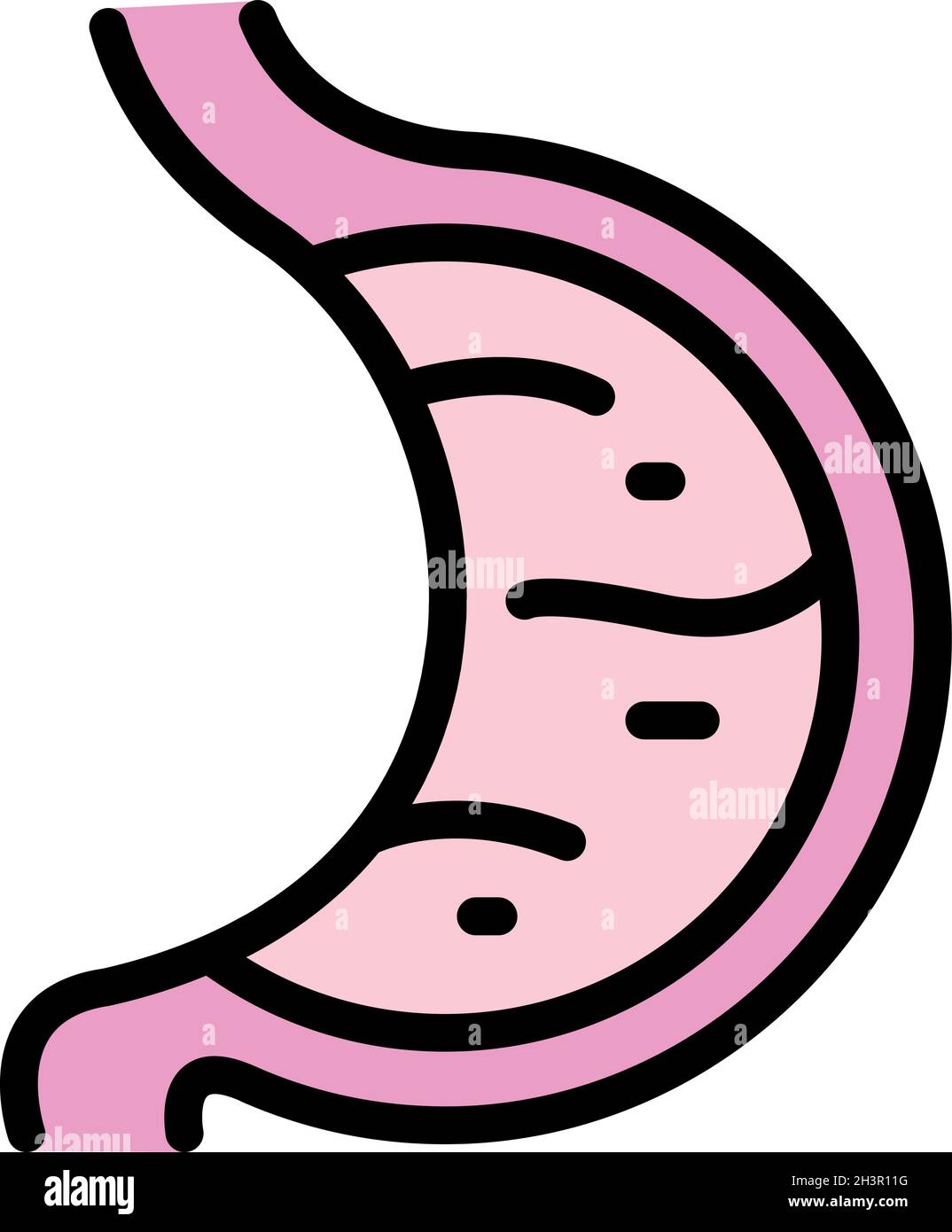 Digestion stomach icon. Outline digestion stomach vector icon color ...