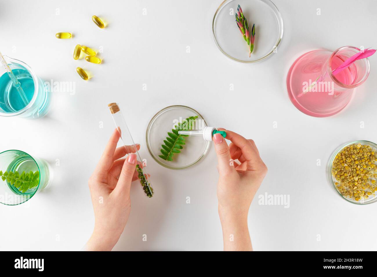 Making herbal dietary supplement in lab with plant leaves. Health and ...