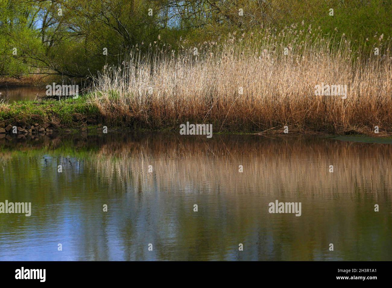 Lower habitat hi-res stock photography and images - Alamy