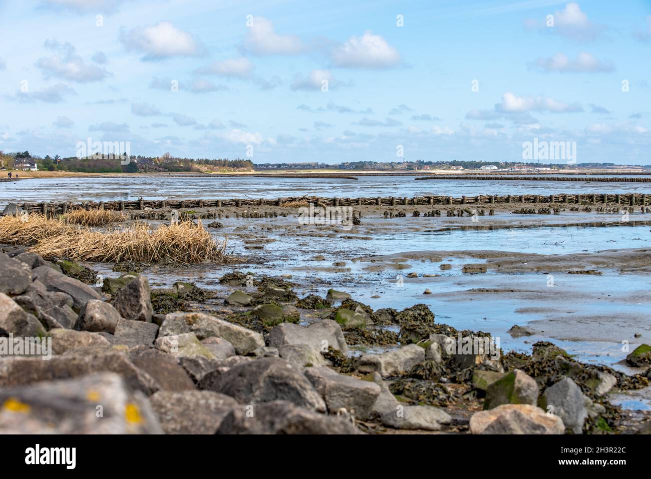 Brown bank area of north sea hi-res stock photography and images - Alamy