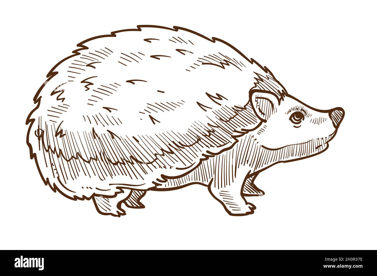 Small pet with pencil Stock Vector Images - Alamy