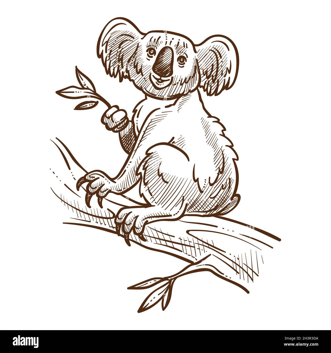 Australian Koala Drawing
