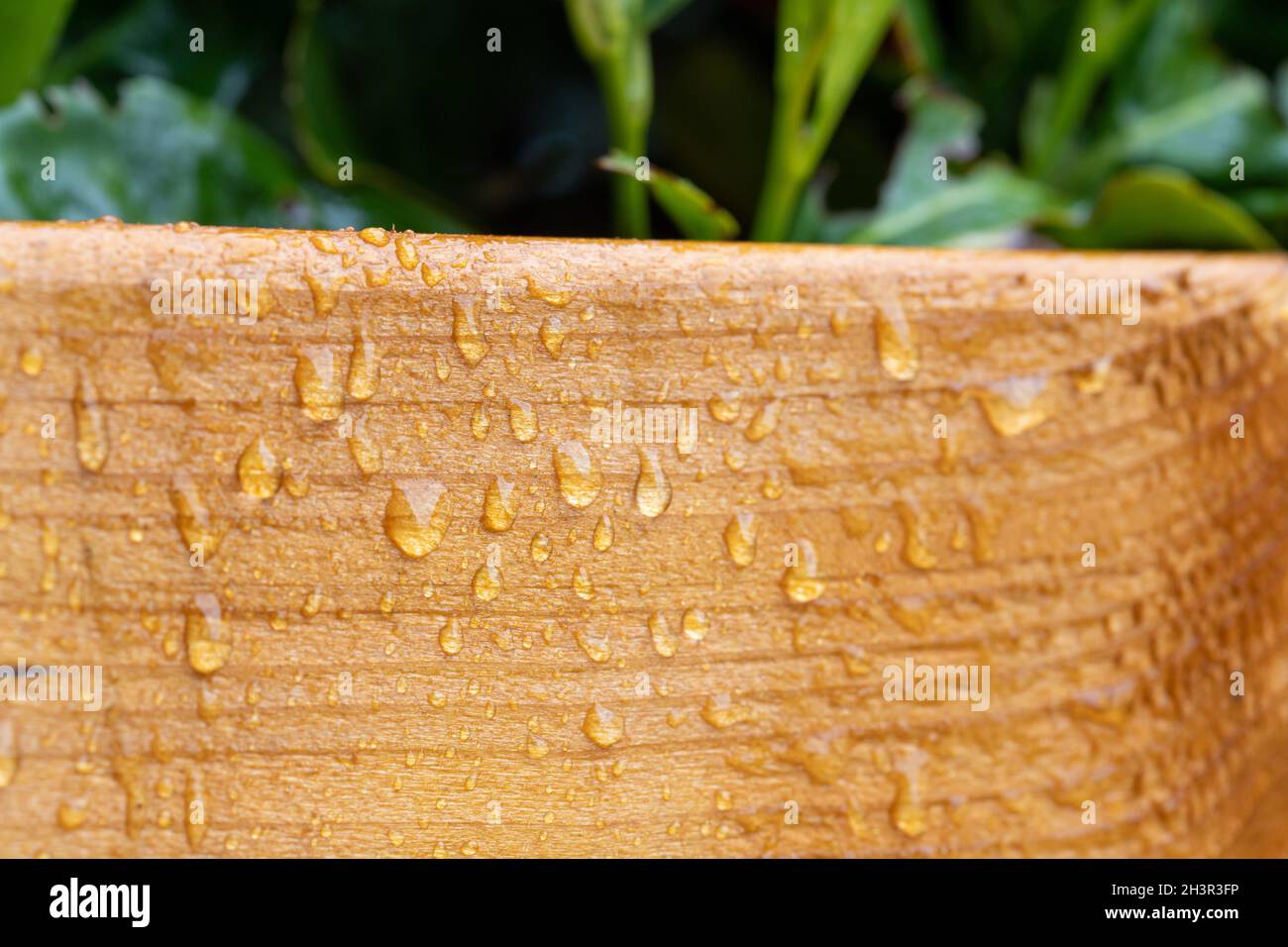Treated wood, protected against moisture and water. Water drops after ...