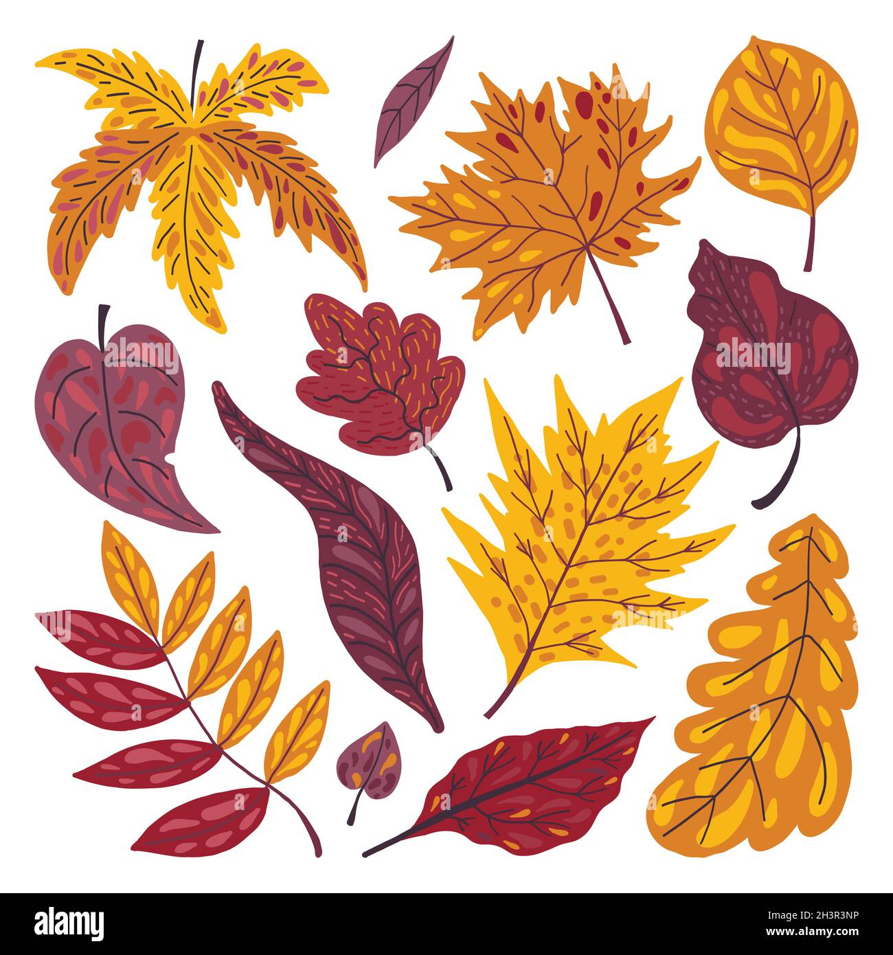 hand drawn autumn leaves vector design illustration Stock Vector Image ...