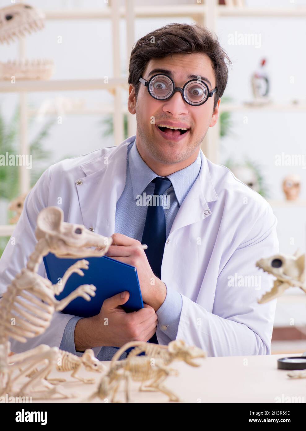 Funny crazy professor studying animal skeletons Stock Photo - Alamy
