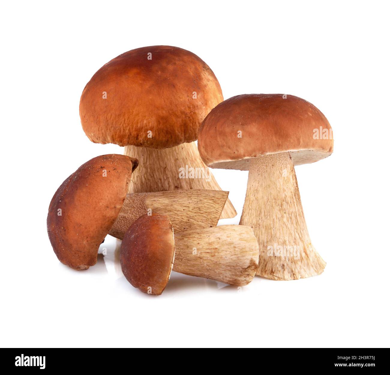 King brown mushrooms hi-res stock photography and images - Alamy