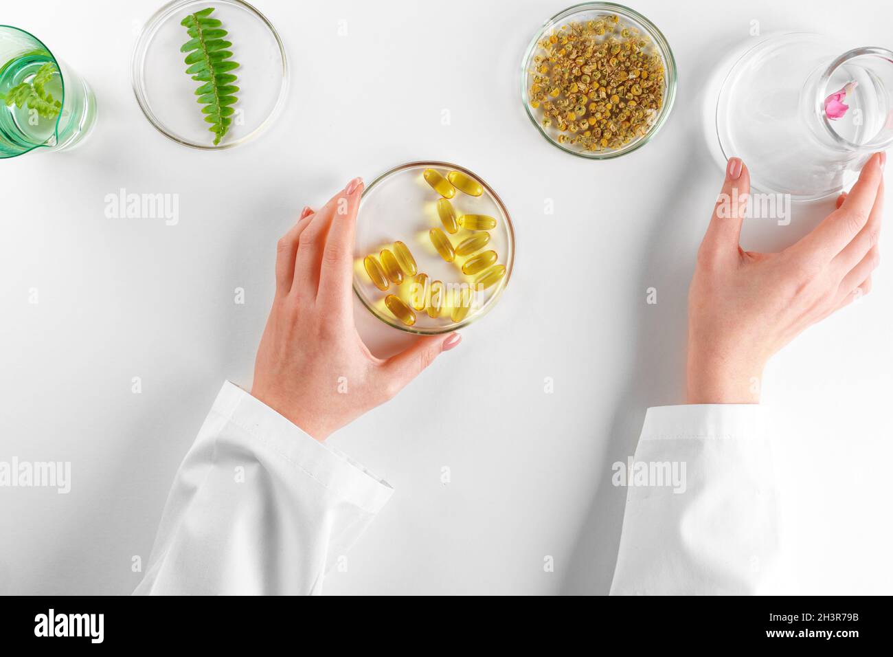 Making herbal dietary supplement in lab with plant leaves. Health and ...