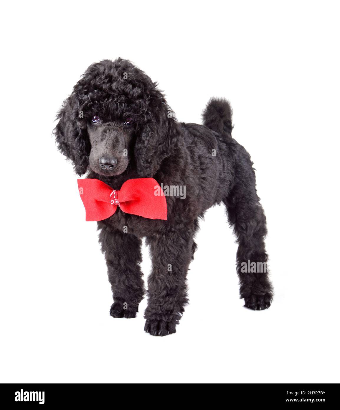 Sitting two months old Cut Out Stock Images & Pictures - Alamy