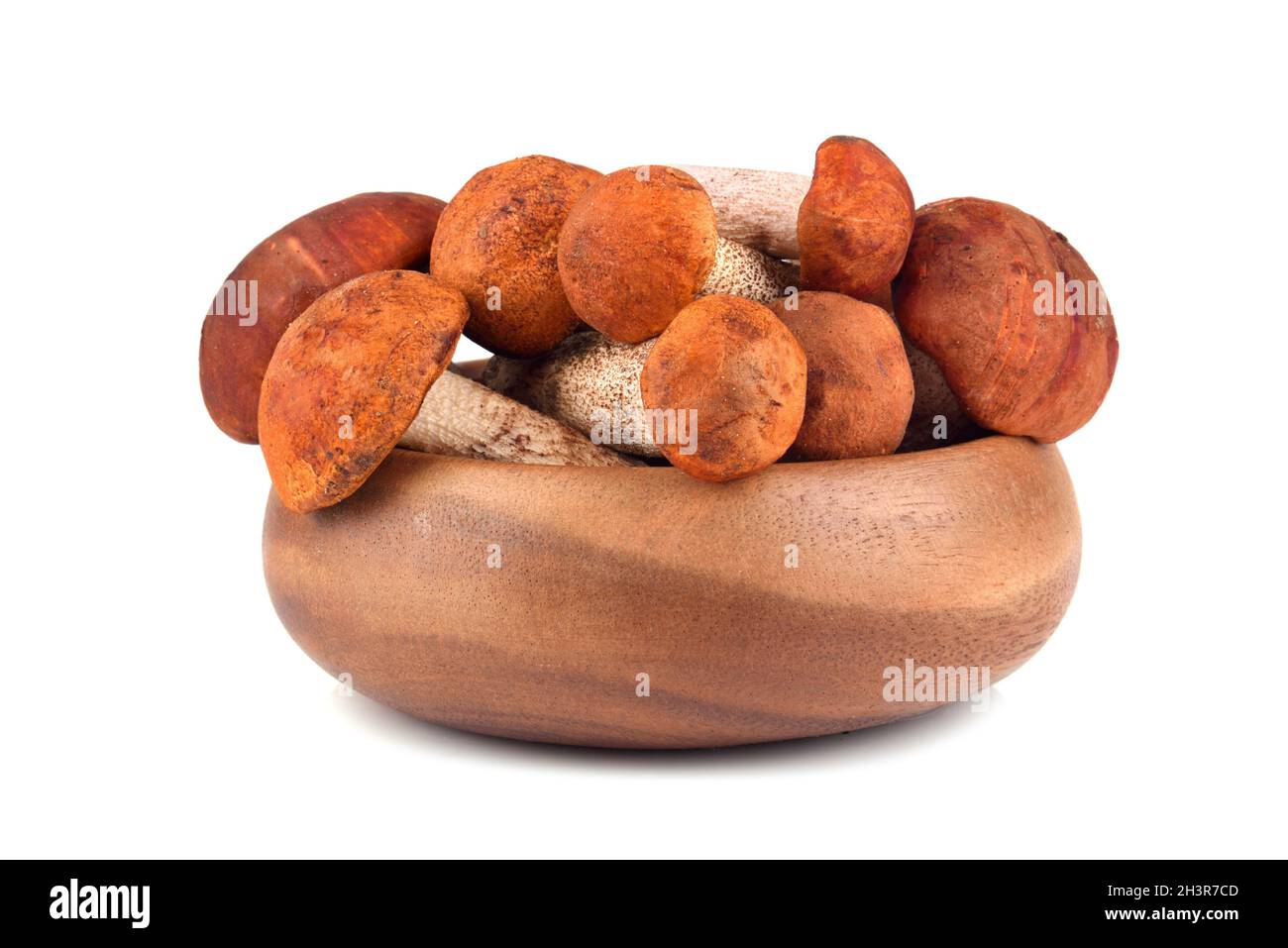 Mushroom fungus orange macro Cut Out Stock Images & Pictures - Alamy