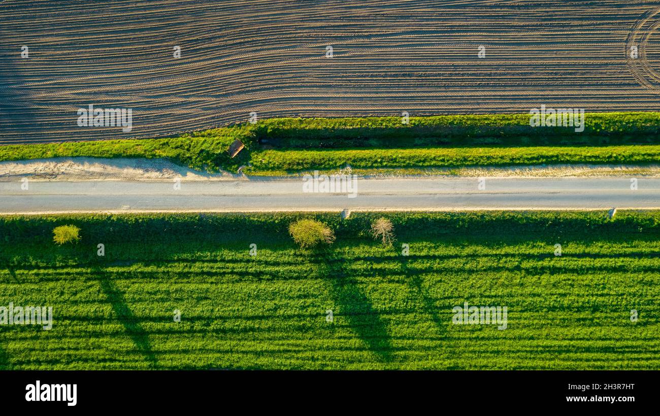 Aerial view with a drone of a spring wavy agricultural countryside ...